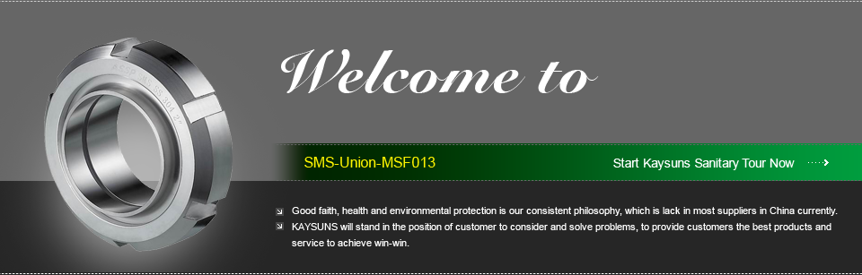 Sanitary Tube, Fittings, Valves | China Manufacturer & Supplier - WELLGREEN | Food Grade ...